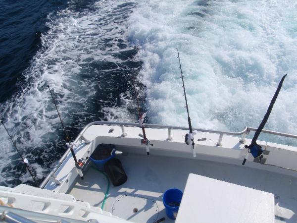 Fishing Aboard the Destin Princess - Destin Florida FishingDestin ...